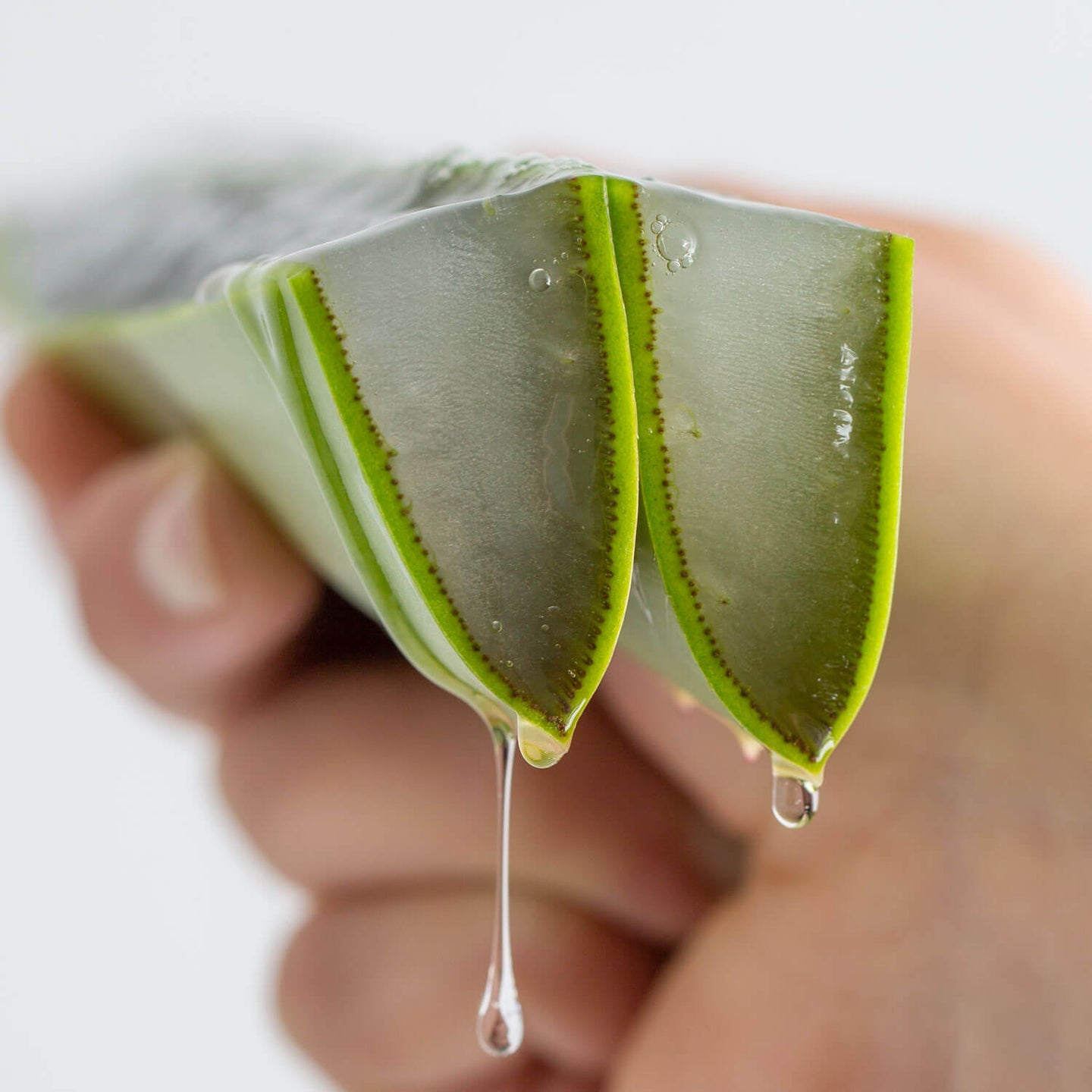Organic Aloe Vera Bite-Sized Pieces